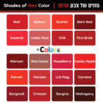 גוונים של צבעים - color | הכל על צבעים בעולם העיצוב